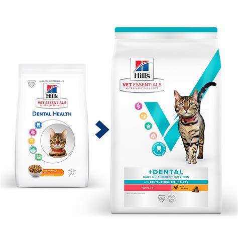 Hills Vet Essentials Feline Dental Adult 1 Oakhill Veterinary Group