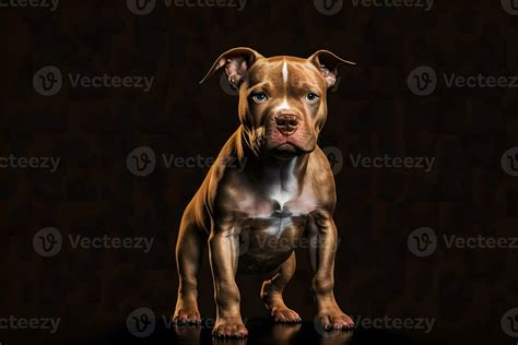 Ai Generated Pitbull Dog Portrait On Black Background Neural Network
