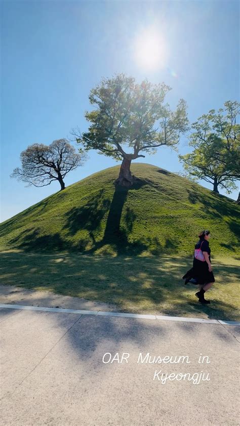 홍신애 함양파 함양파를 아시나요 현재 함양에서만 재배되고있는 길쭉한 형태의 줄기양파에요 마치 대파처럼 생겼지만 엄연한 양파 저렇게 불에 잘 구워서 탄 껍질을 쑥