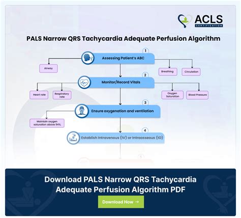 Pals Cardiac Arrest Algorithm Pediatric Resuscitation Protocol Aclsnow