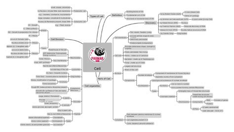 Cell Printable Frb Pdf