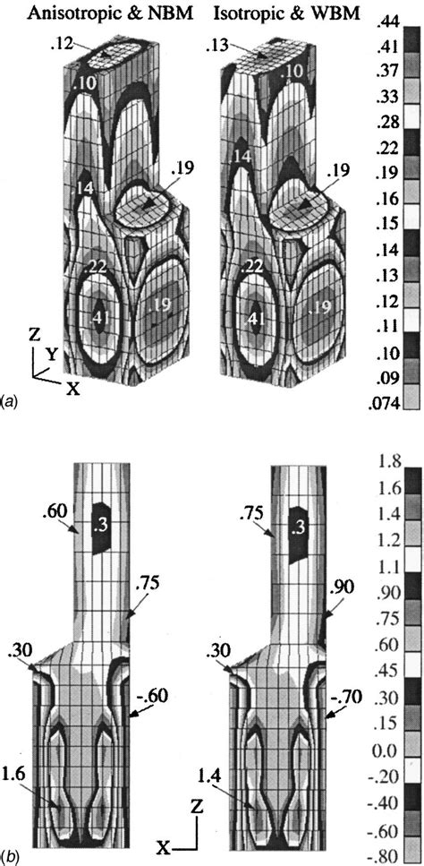Comparison Between Solutions Of Anisotropic And Nbm And Of Isotropic Download Scientific