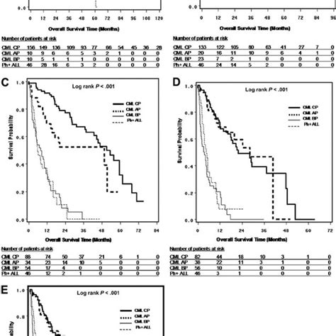 Bcr Abl Mutations Detected Before And Concomitantly To The T315i Download Scientific Diagram