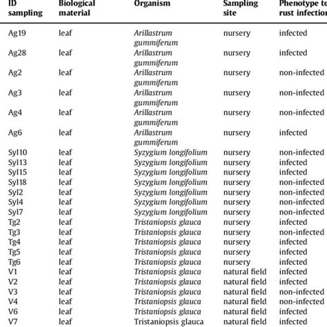 Detailed Sampling Of Three Myrtaceae Species For Rna Seq Analysis