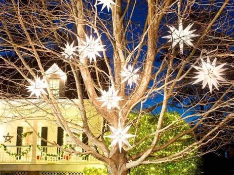 Christmas Outdoor Decoration 10 Ideas How To Decorate An Outdoor Tree