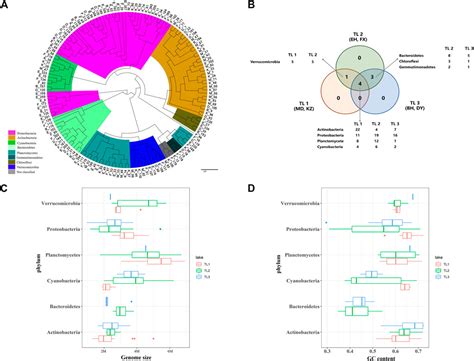 Frontiers Metagenomics Reveals Microbial Diversity And