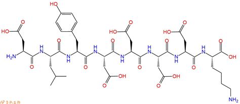 多肽标签x Press，dlyddddkxpress物质 Csdn博客