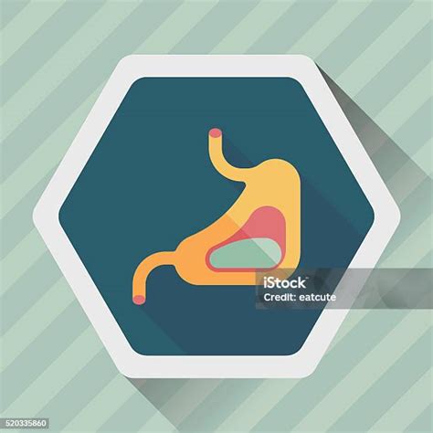 인간 위암 평편 아이콘크기 긴 Shadow 건강관리와 의술에 대한 스톡 벡터 아트 및 기타 이미지 건강관리와 의술 과학 내부 Istock