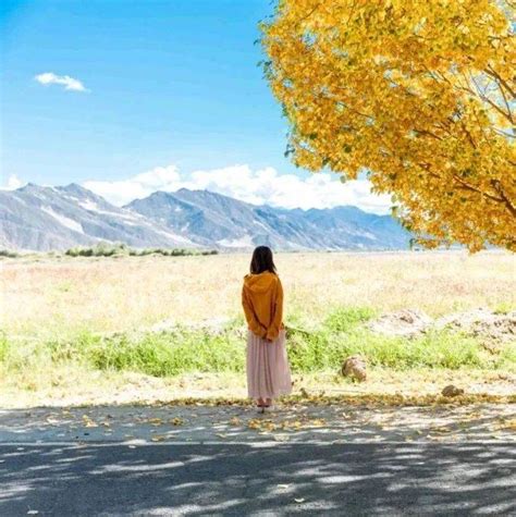 一个无需解释的故事（深刻！）念珠弟子老住持