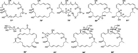 13 Structures Of 24 Membered Macrolides 77 85 Download Scientific Diagram