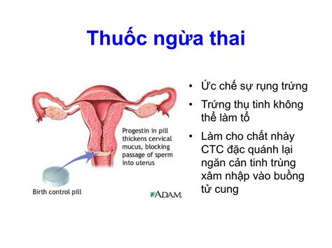PPT CÁC BIỆN PHÁP TRÁNH THAI PowerPoint Presentation free download ID