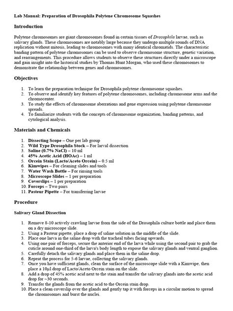 Drosophila Polytene Chromosome Squash Guide Pdf Chromosome Mitosis