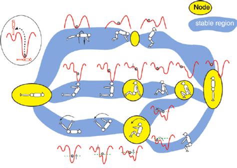 Schematic View Of Non Uniform Global Dynamics Structure Gray Bands