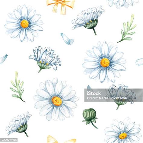 카모마일 데이지 수채화 그림 완벽 한 패턴 흰색 배경에 고립되어 있습니다 손으로 그린 꽃 식물 그림 결혼식 인사말 초대 카드 인쇄 스크랩북 0명에 대한 스톡 벡터 아트 및