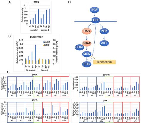 Reverse Phase Protein Array Rppa Analysis Of Pdos Derived From Fap Download Scientific