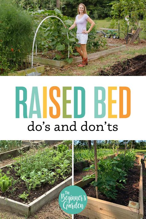 Raised Bed Gardening Do S And Don Ts The Beginner S Garden