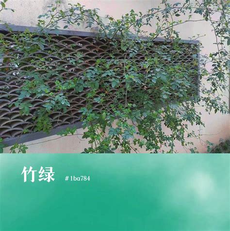 【靓】春天里的校园，遇到最美中国传统色！ 西安外事学院