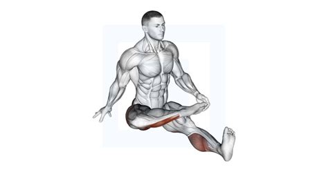 Pelvic Tilt Guide Benefits And Form