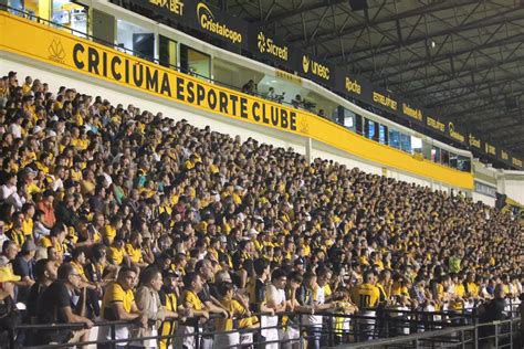 Criciúma X Botafogo Ao Vivo 2206 Onde Assistir Horário E Escalações