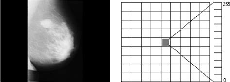 figure 1 from cellular automata based algorithm and its application in