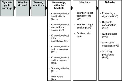 Message Impact Framework Showing Outcomes Assessed In The Set Of Message Impact Framework Showing Outcomes Assessed In The Set Of