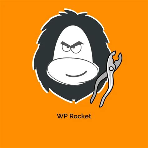 Descarga Wp Rocket Gratis Orangogpl Themes And Plugins