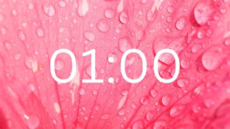 1 Minute Timer With Music Youtube 1 Minute Timer With Music Youtube