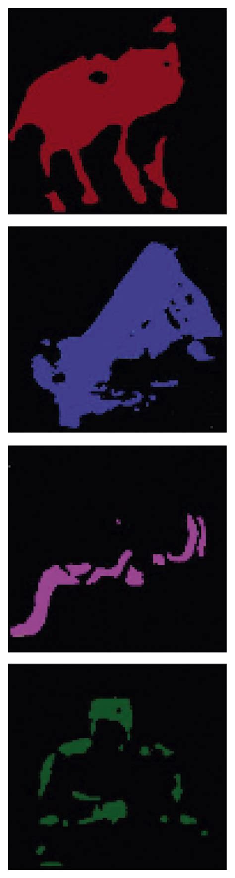 Comparison Of Segmentation Effects A Sample Image B Model 1 C