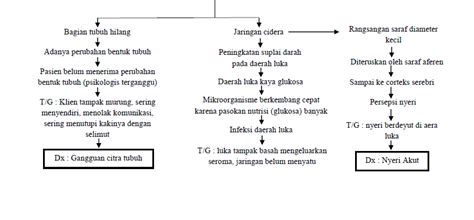 Seputar Dunia Keperawatan Pathway Dm Tipe Ii