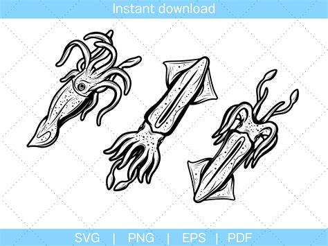 Squid Svgsea Squid Svg Graphic By Arthittm2 · Creative Fabrica Squid Svgsea Squid Svg Graphic By Arthittm2 · Creative Fabrica