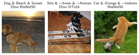 images retrieved based on similarity of their representation to