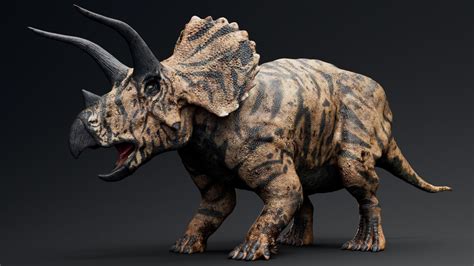 Triceratops Real Dinosaur Series