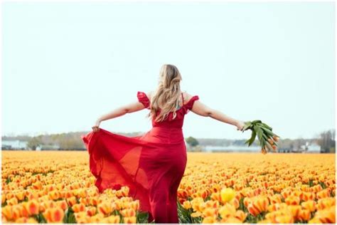 عکس های دیدنی دشت گل لاله برای پروفایل