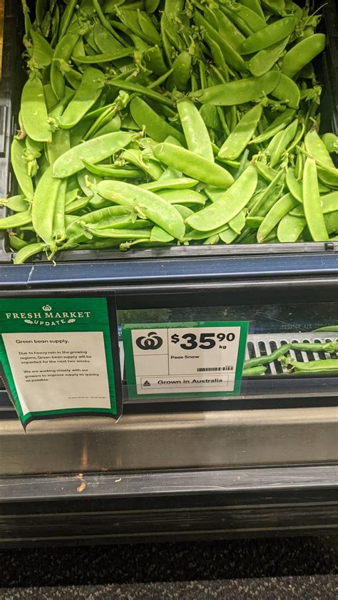 What The Hell Tesco I Want To Buy A Corgette Not Take A Botany Quiz