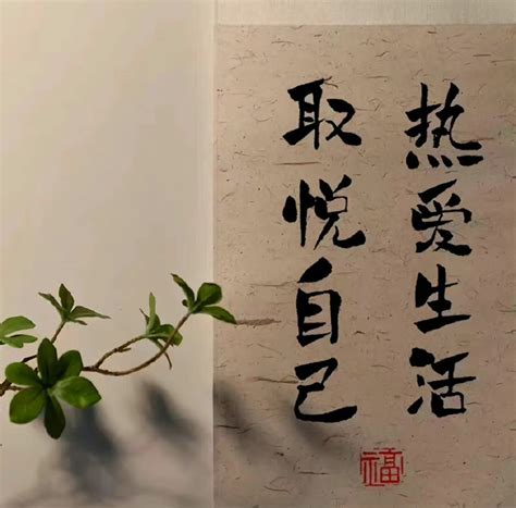 文字控必看的抖音背景图片2022新款简约 配图网