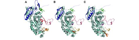 Superposition Of Aohex With Its Homologs Superposition Of The