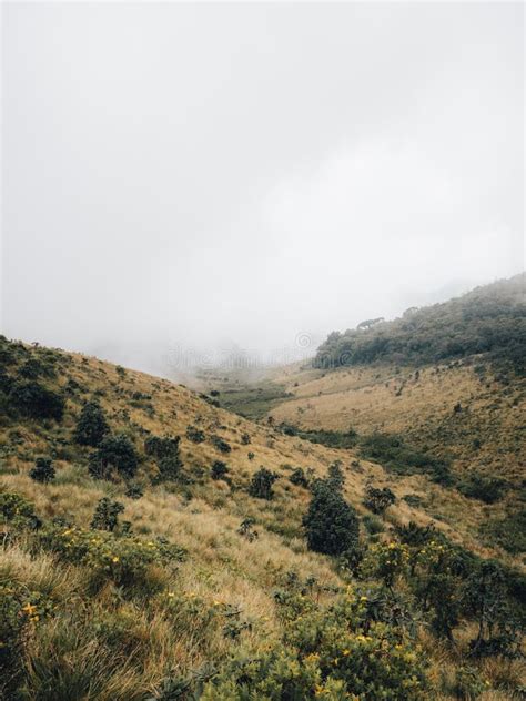 Morning Mist Lead Through The Rolling Hills Of Horton Plains National