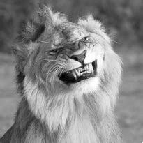 Scalable Business Model Explained Tips Examples MightyCall