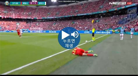[유로 2020 웨일스 Vs 덴마크] 아 사타구니 부상인 듯한 코너 로버츠 해설 O 유머 움짤 이슈 에펨코리아