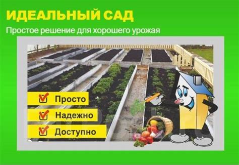 Плоский шифер, чудо-грядки - Сад и огород во Владивостоке