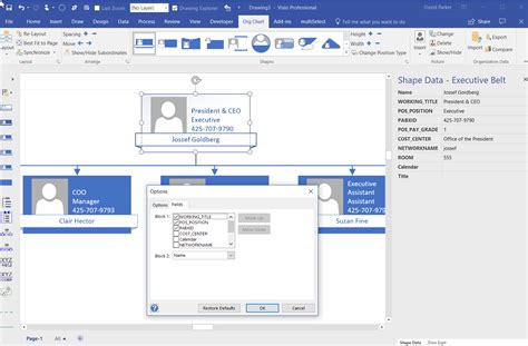 Aliasing Data Columns For Visio Organization Chart Wizard Bvisual