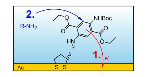 Electrochemical Activation Of Self Assembled Monolayers For The Binding Of Effectors Langmuir