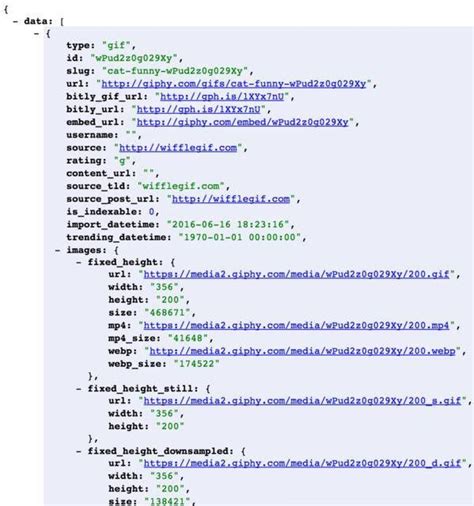 Getting Started With Vue Js