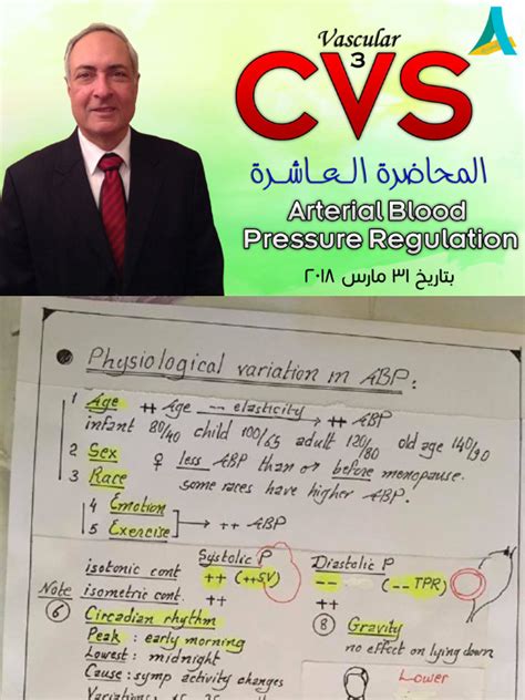 Cvs 10 Dr Nagi Diagrams 2018 Pdf