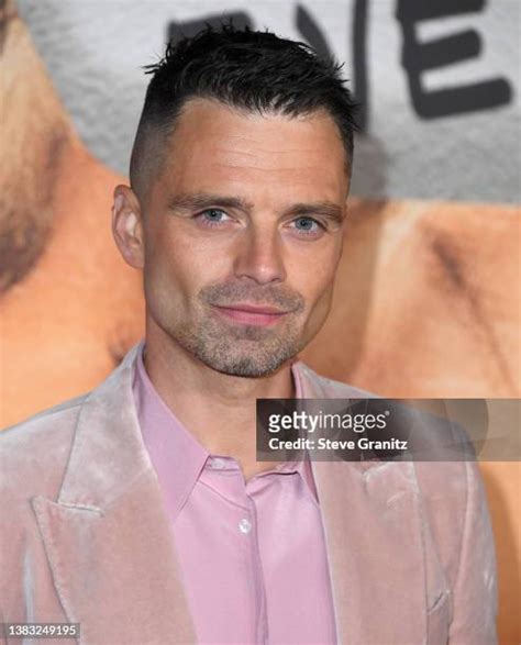 Sebastian Stan Portraits Photos And Premium High Res Pictures Getty
