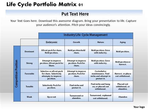 Life Cycle Portfolio Matrix 01 Powerpoint Presentation Slide Template Template Presentation