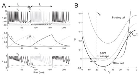 Periodic Anti Phase Bursting Of The Coupled System Of Equations A Download Scientific