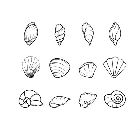 Simple Seashell Drawings