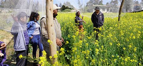 Third China Eritrea Agricultural Technical Cooperation Project Brings