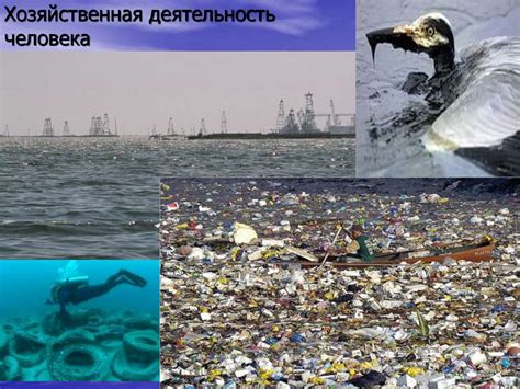 Природа Атлантического и Северного Ледовитого океанов Виды хозяйственной деятельности в океанах